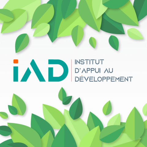 Presentation - Institut d'Appui Au Dévéloppement